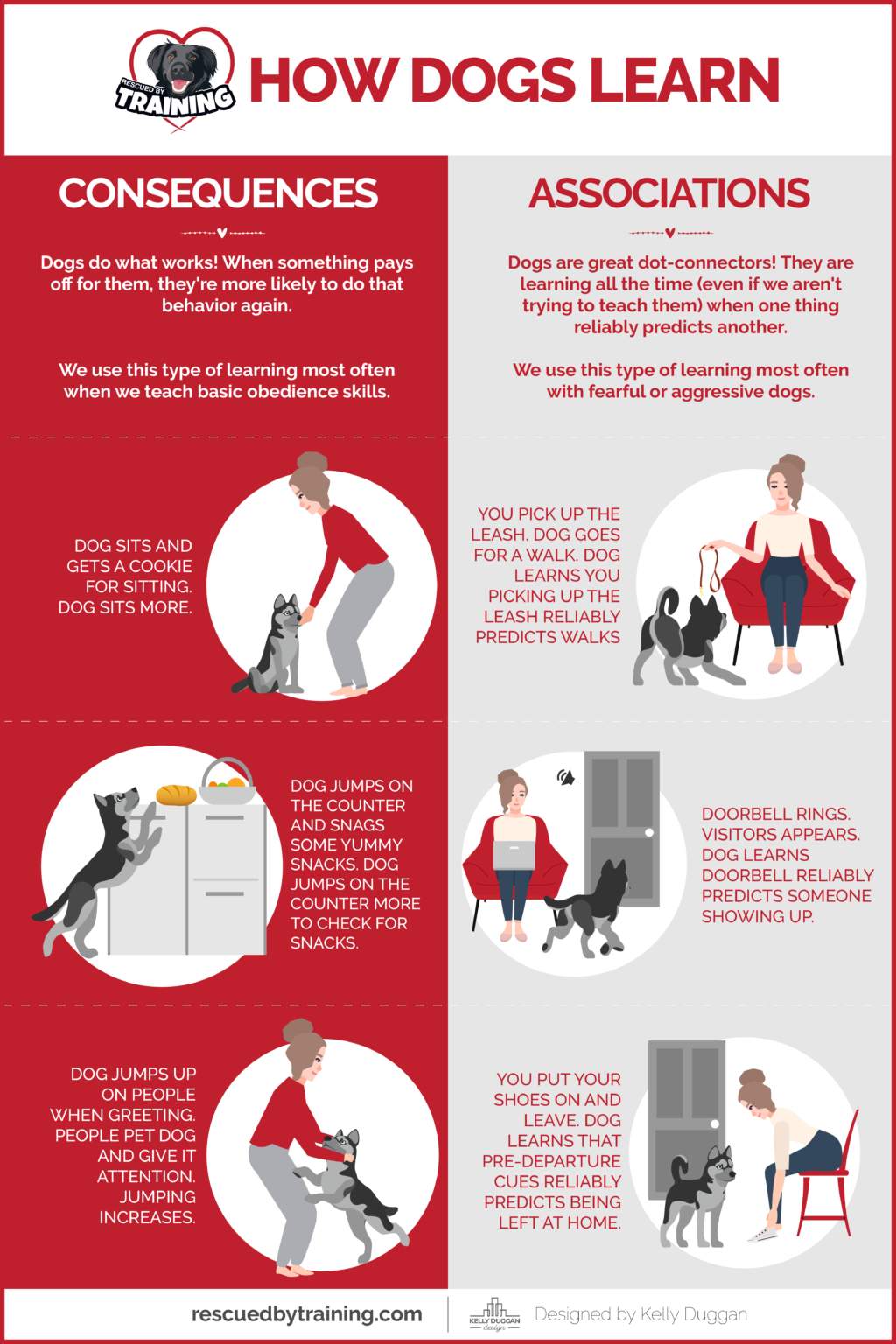Free Dog Behavior Download
