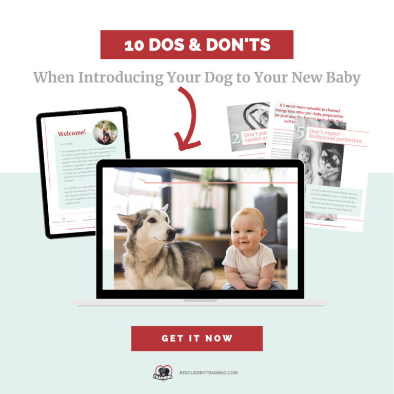 Free Dog Behavior Download