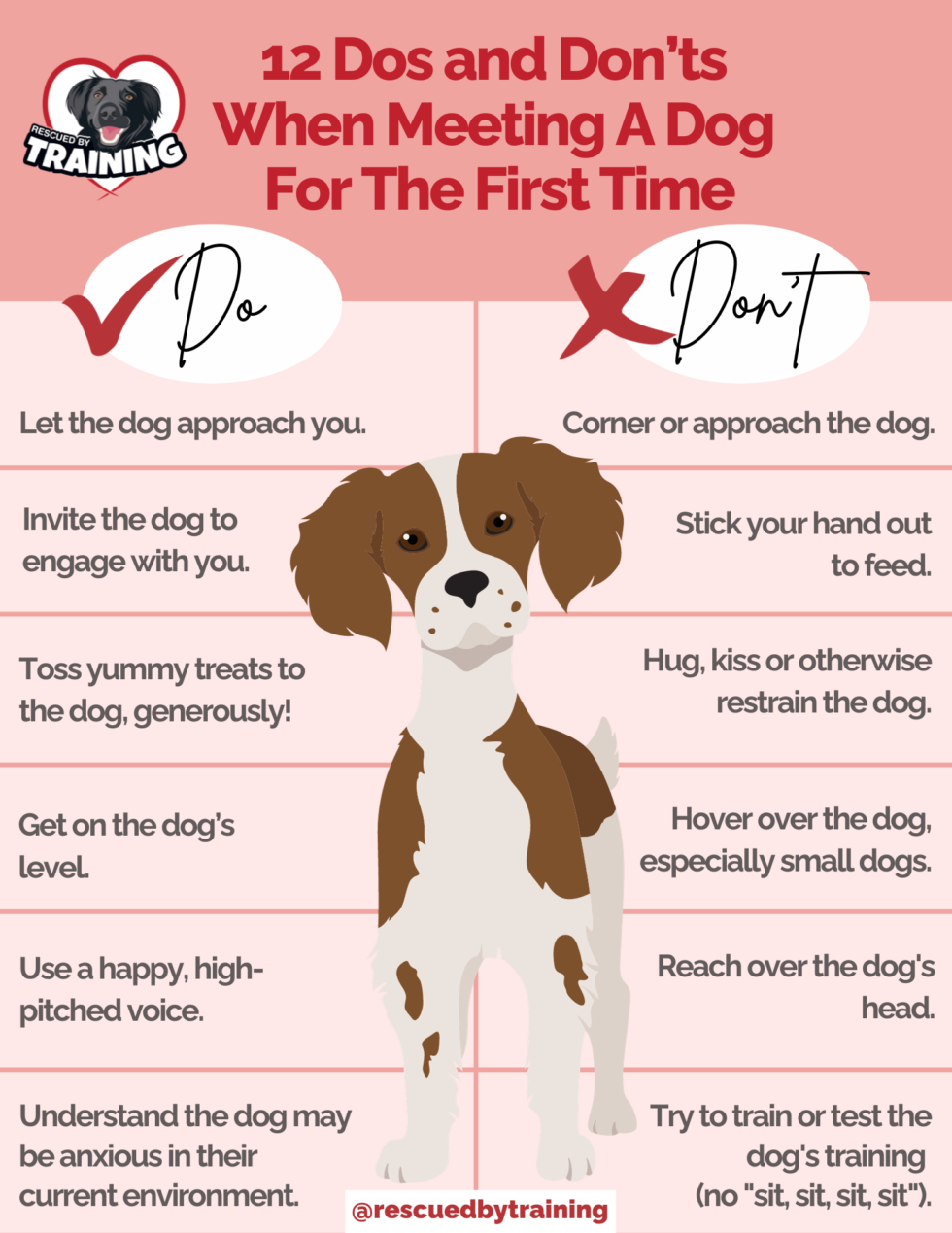 Free Dog Behavior Download