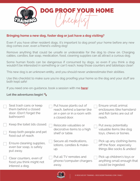 Dog Proofing Free Checklist